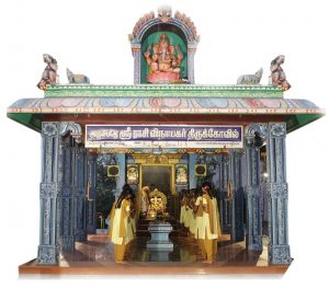 The School – The SRV Girls